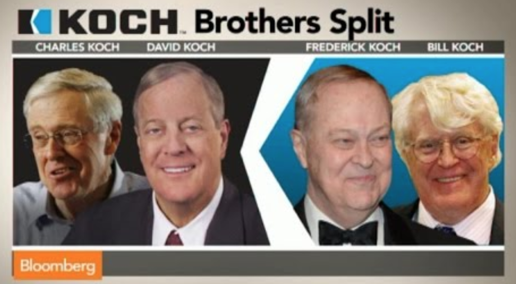 Reports - Koch Docs